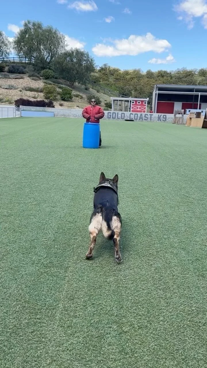 Ventura County Sheriff's K9 Foundation