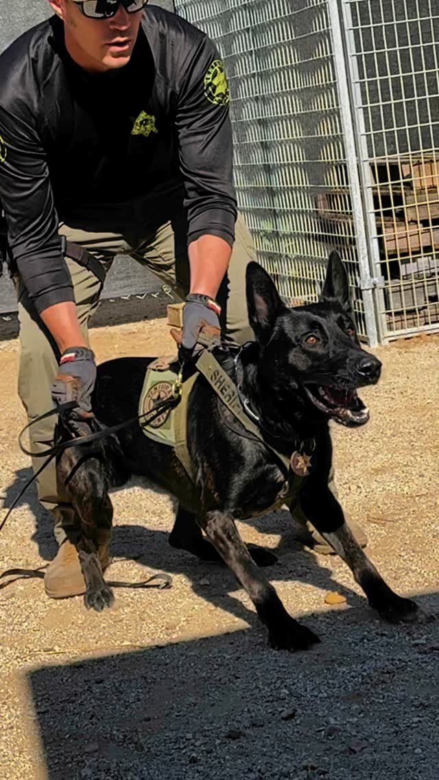 Ventura County Sheriff's K9 Foundation