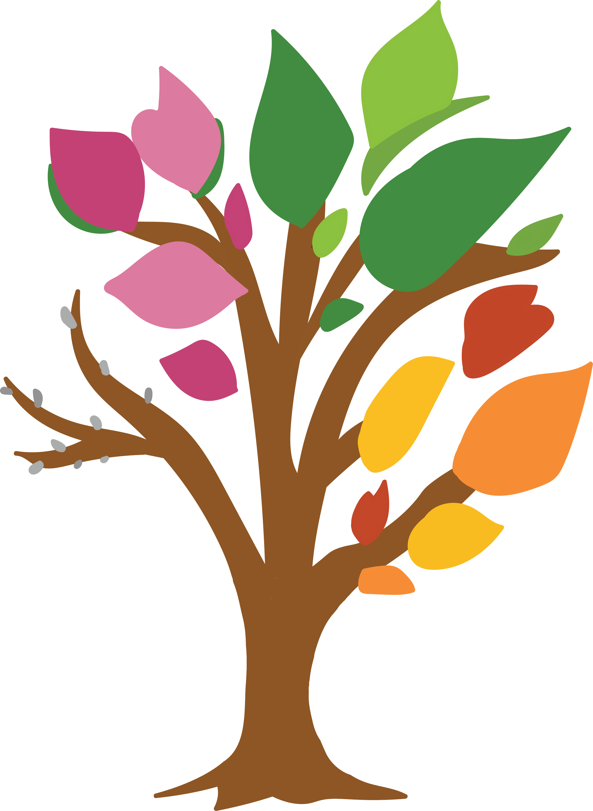 Andrea DeSimone - Skincare for All Seasons