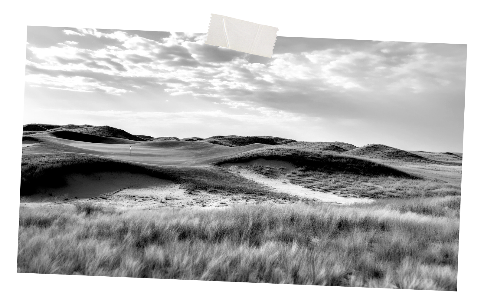 Founder Offering — Introducing Rodeo Dunes