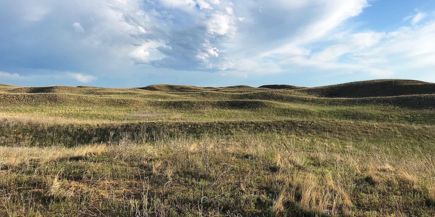 Introducing Rodeo Dunes