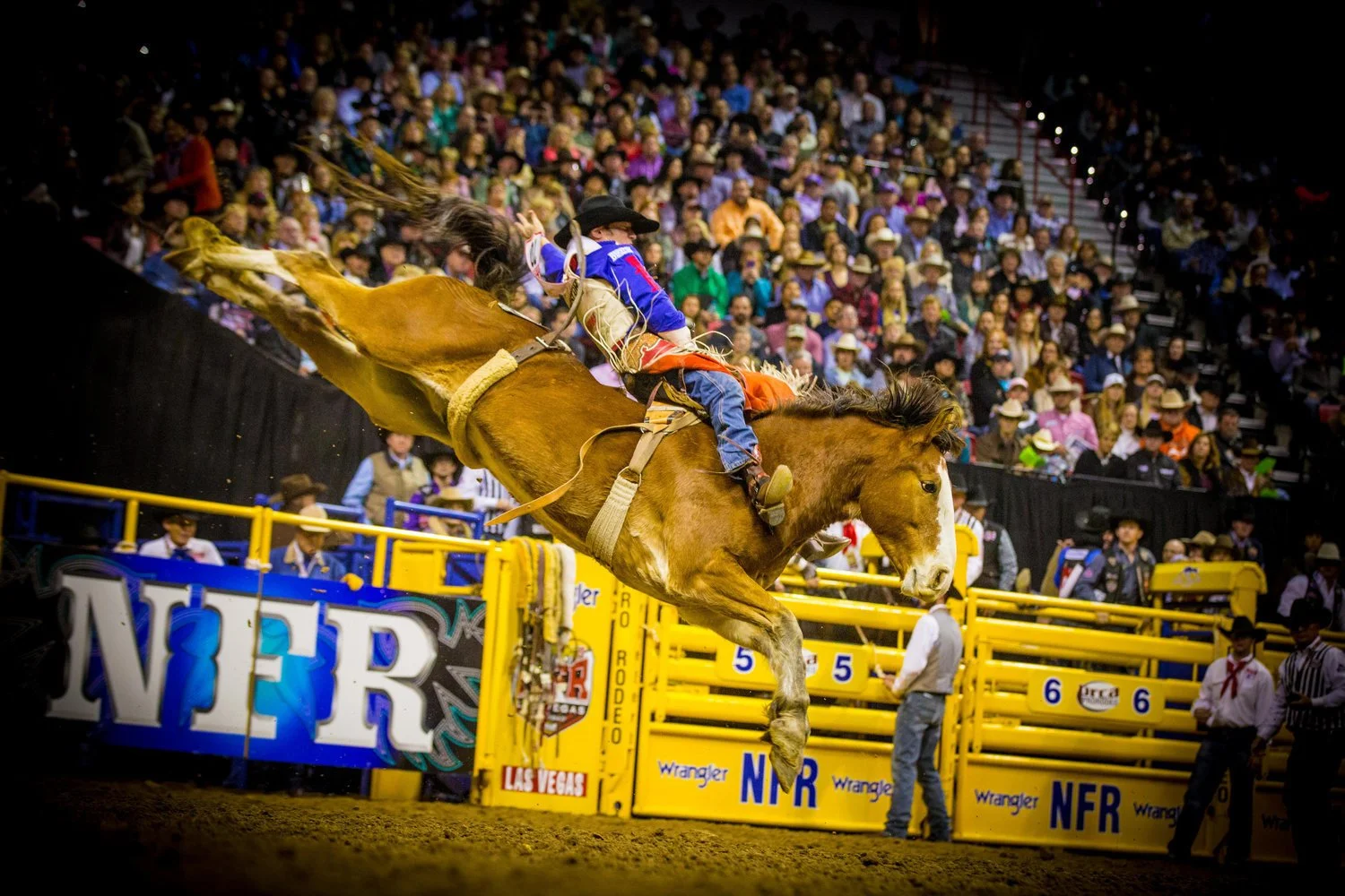 THE LAND — Rodeo Dunes