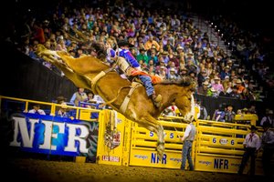 THE LAND — Rodeo Dunes