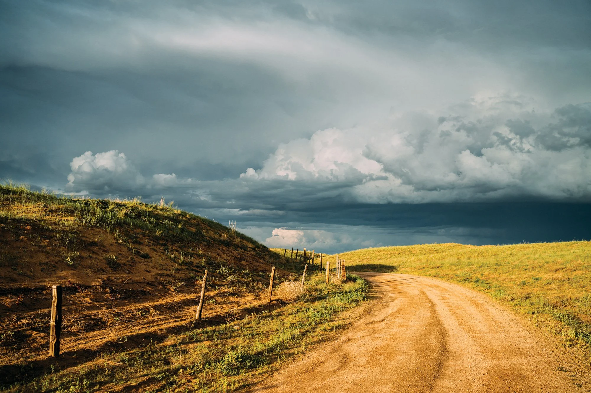 THE LAND — Rodeo Dunes