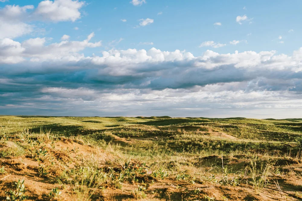 THE LAND — Rodeo Dunes