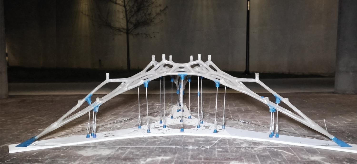 Cavity shell — Zaid M. Marji