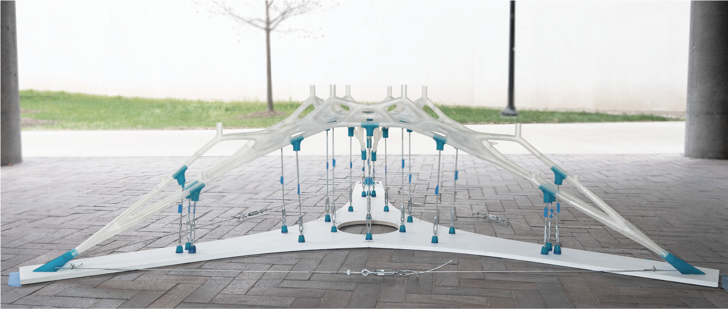 Cavity shell — Zaid M. Marji