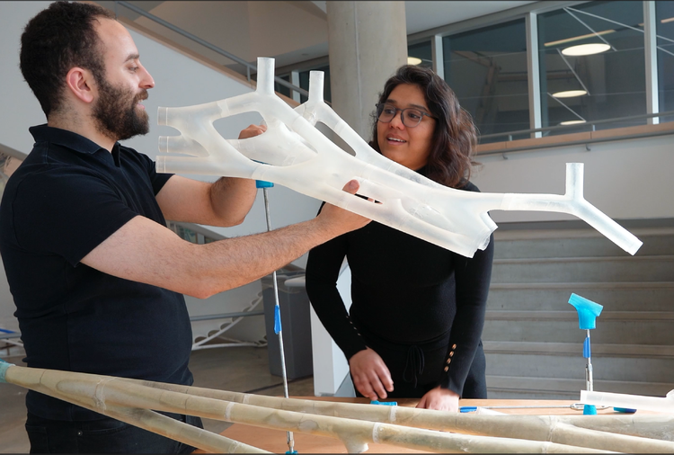 Cavity shell — Zaid M. Marji