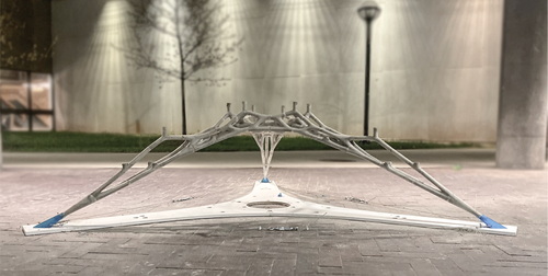 Cavity shell — Zaid M. Marji