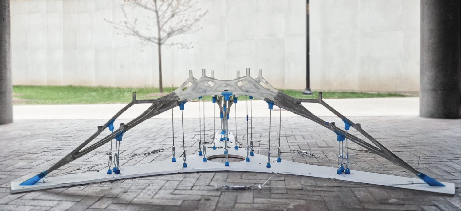 Cavity shell — Zaid M. Marji