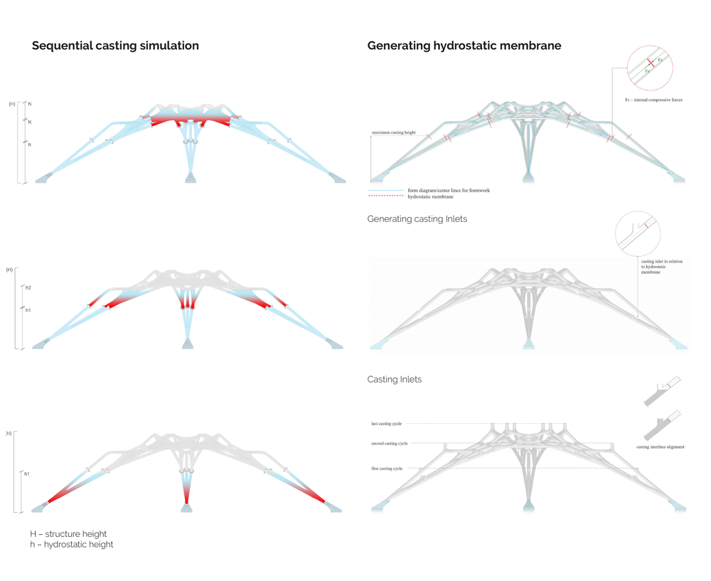 Cavity shell — Zaid M. Marji