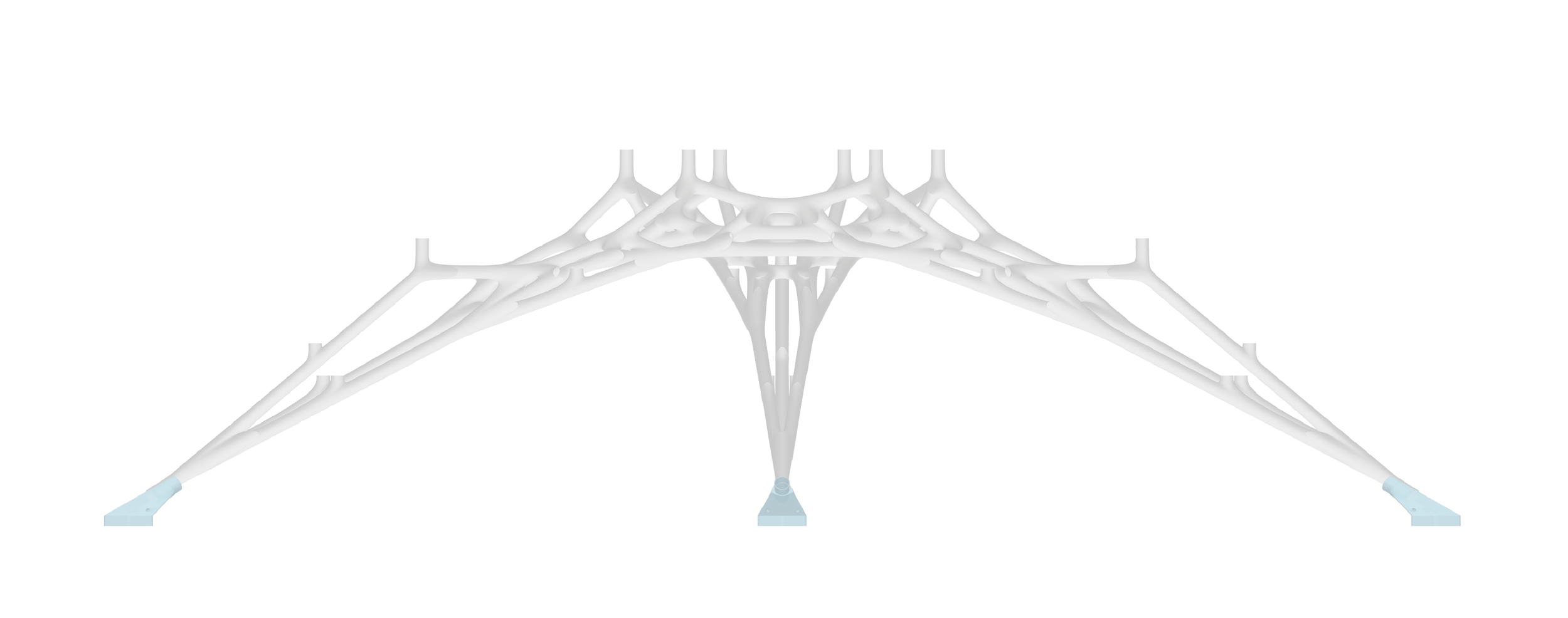 Cavity shell — Zaid M. Marji