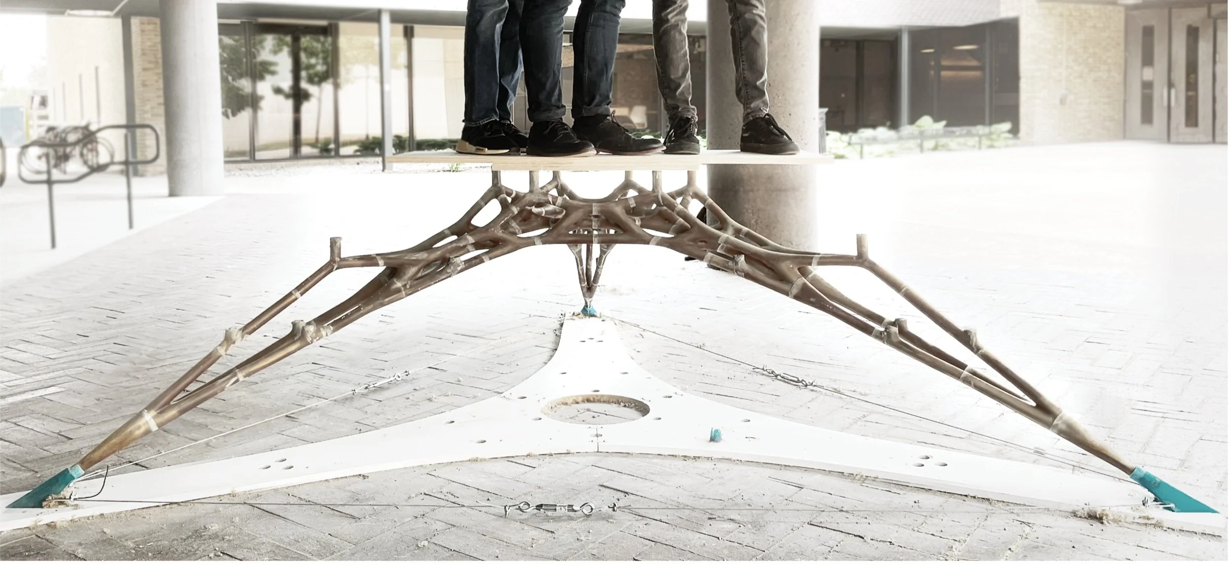 Cavity shell — Zaid M. Marji