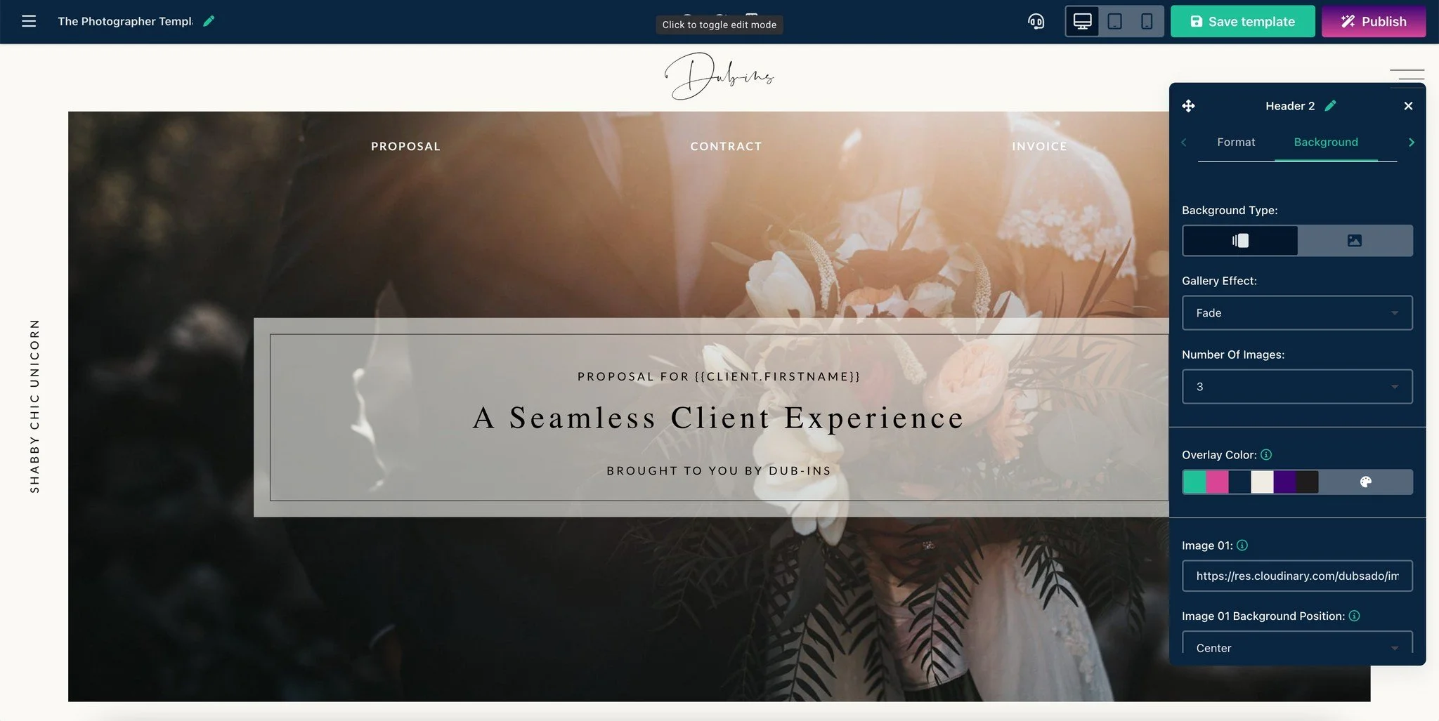 Learn how to Customize your Dubsado forms — Dub-ins
