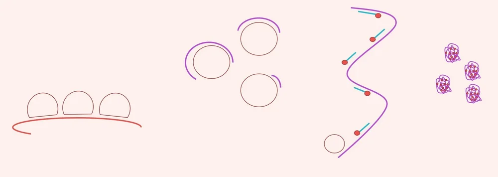 Technology — Readily Diagnostics