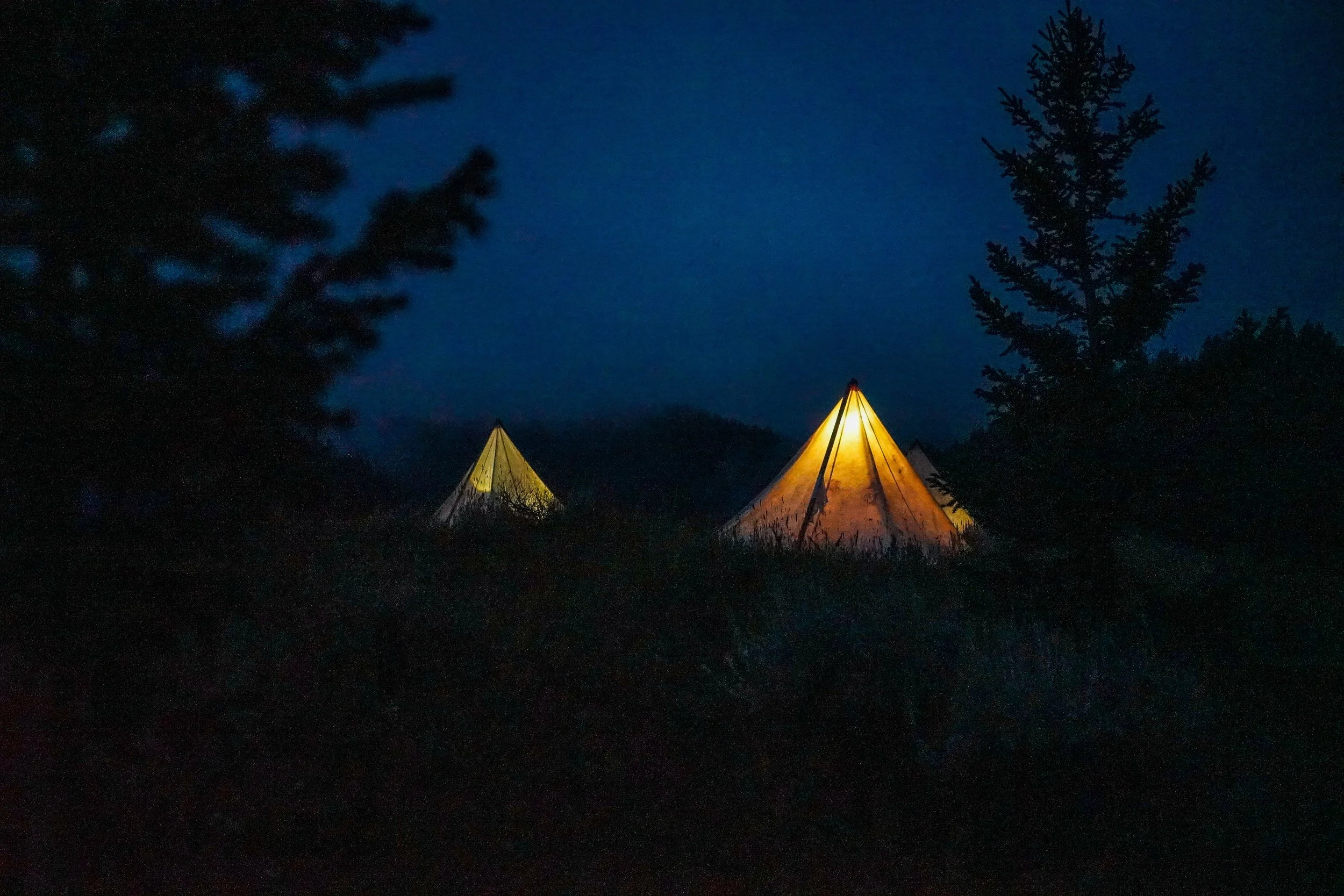 Double Rafter Cattle Drives