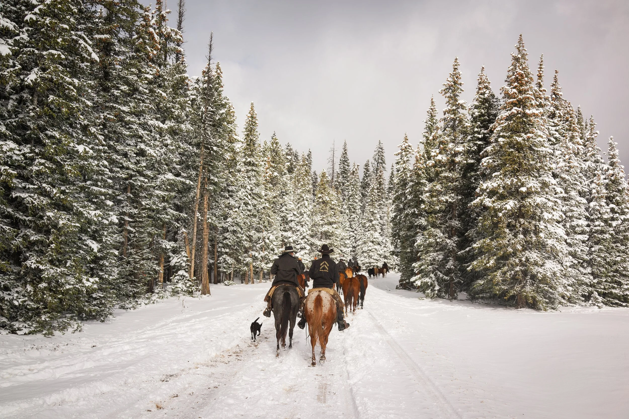 Gallery — Double Rafter Cattle Drives