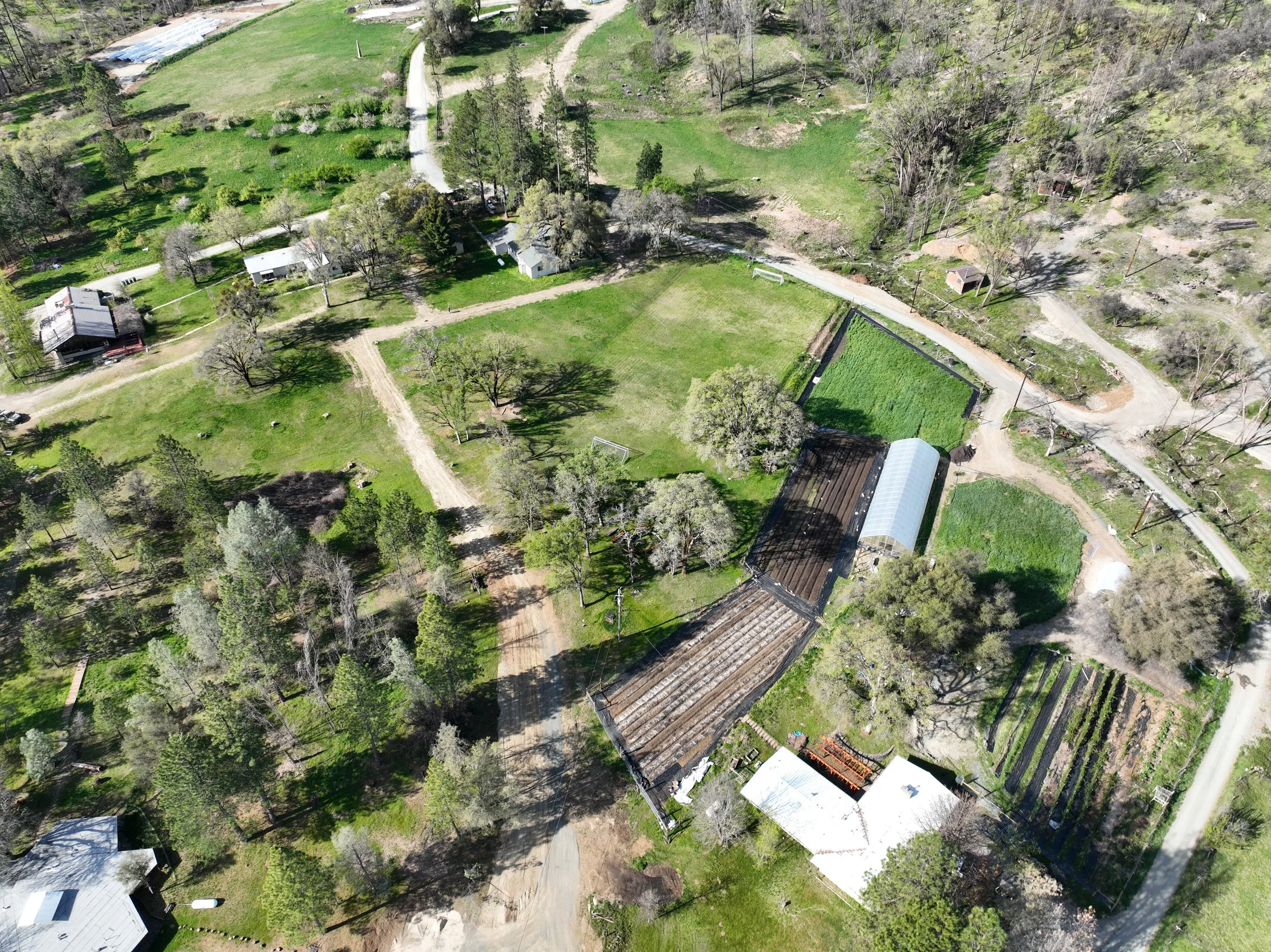 Grounds — Woolman at Sierra Friends Center