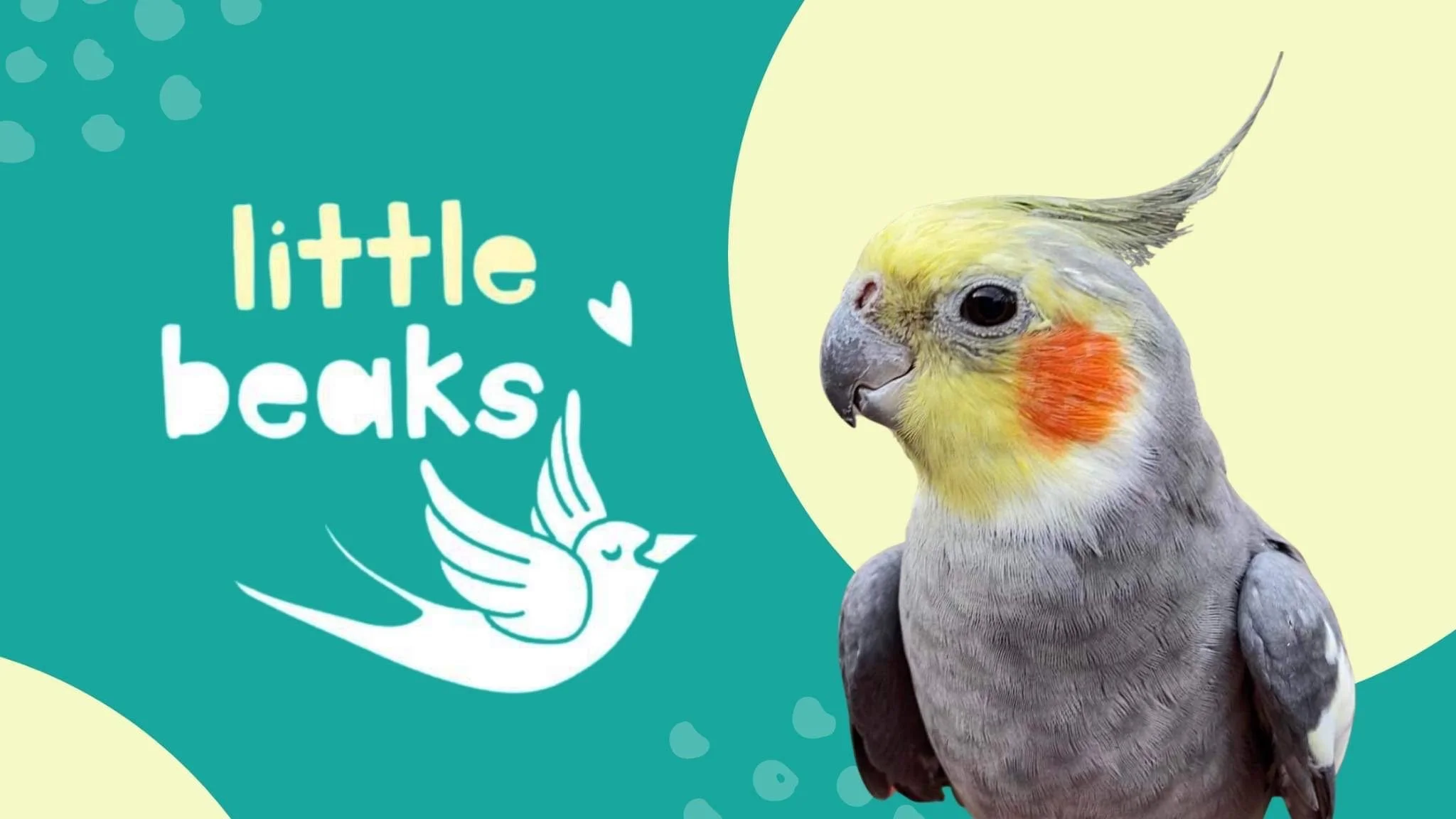 Little Beaks