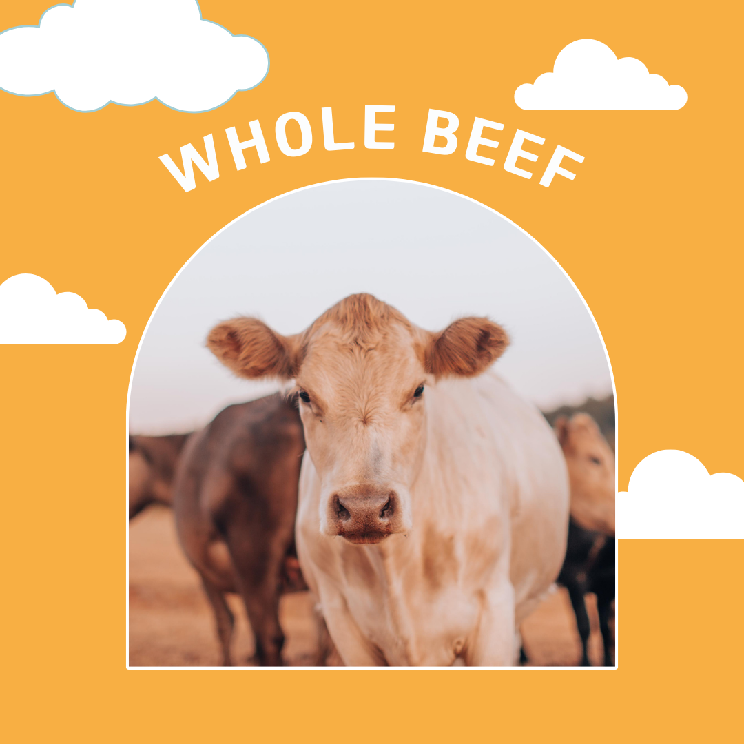 Whole Beef — Valley View Meat Co.