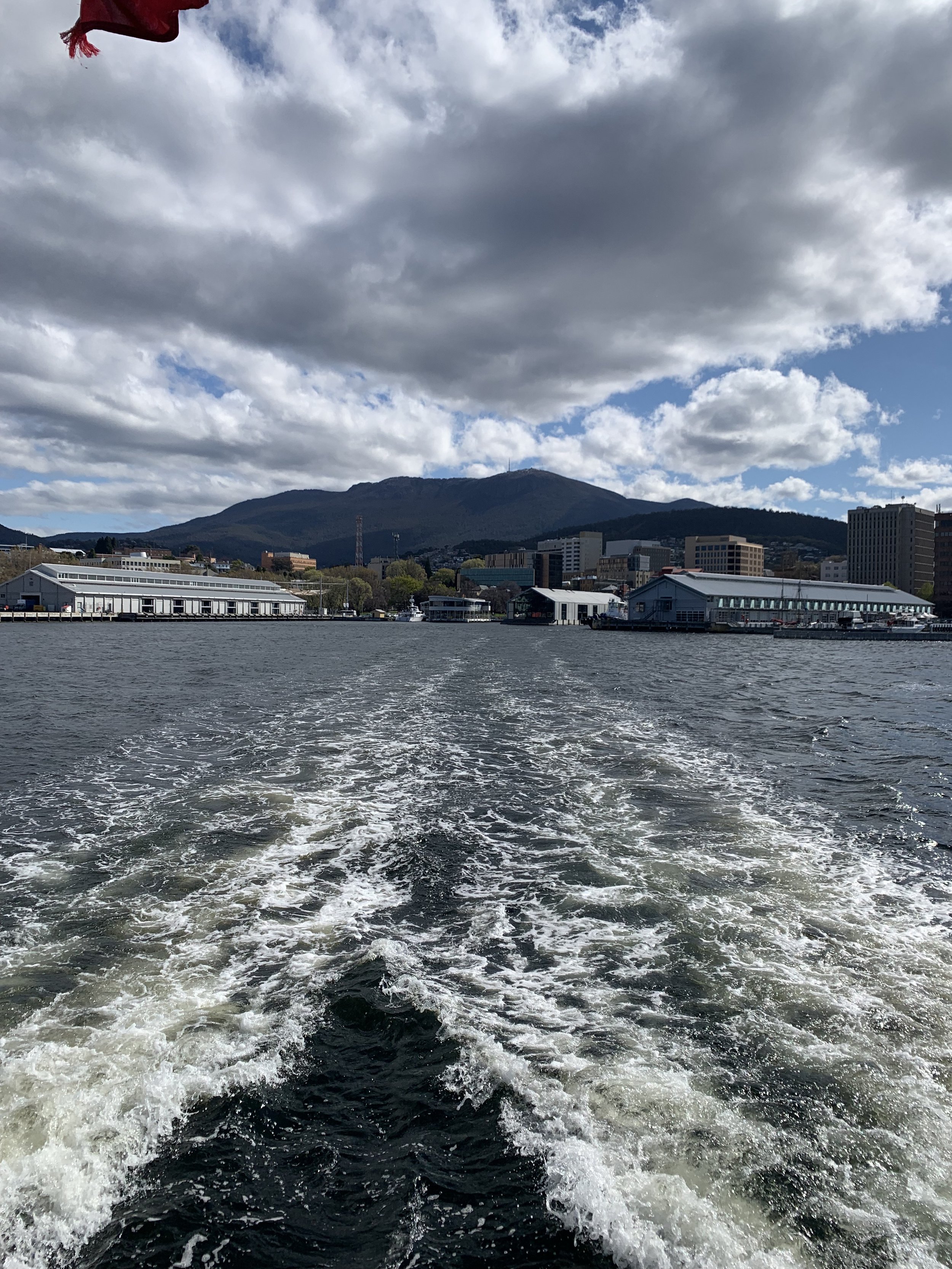 Your Guide To The MONA Ferry 2024 — Ioana On The Coast