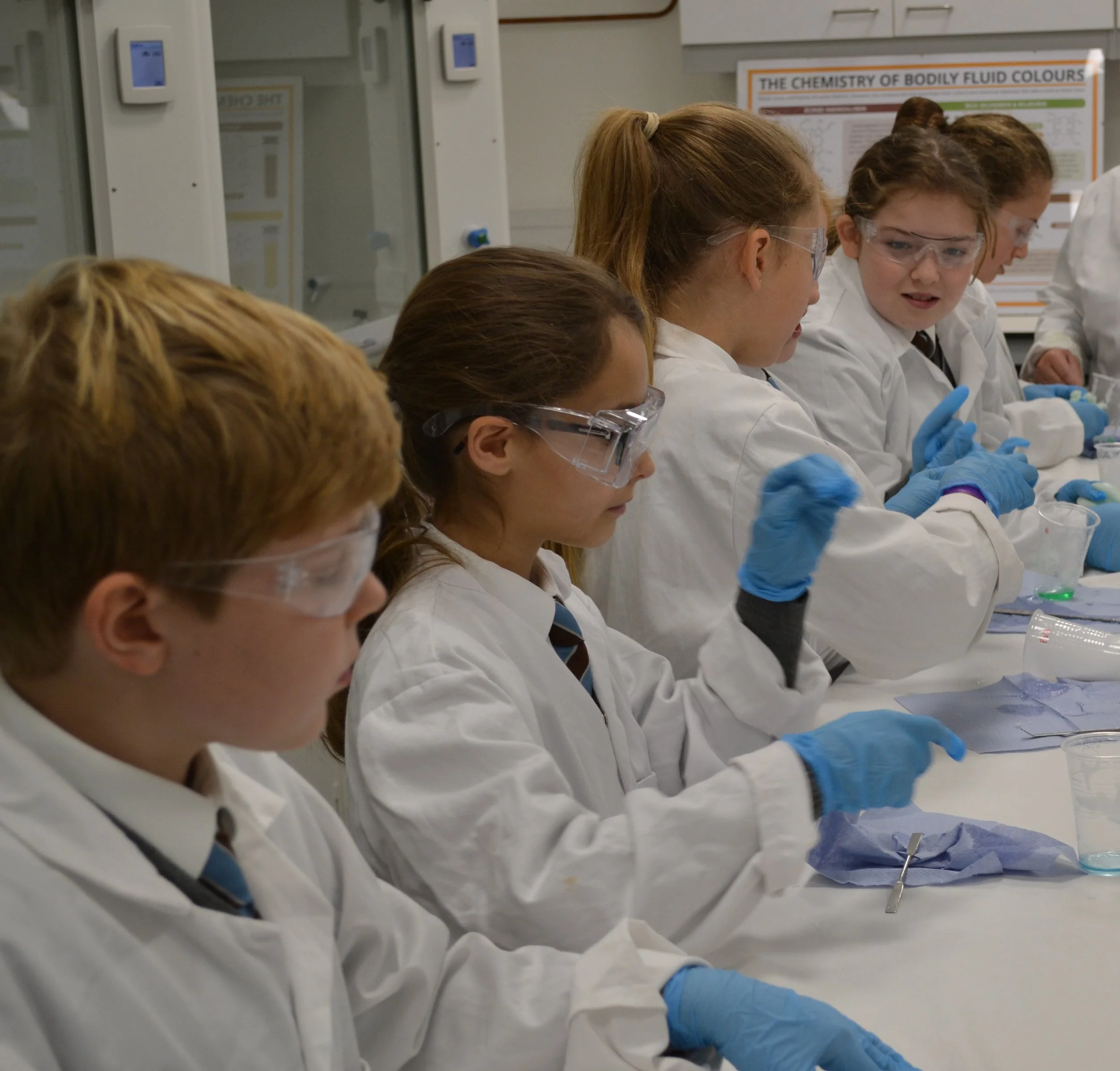 About — Science Creates Outreach