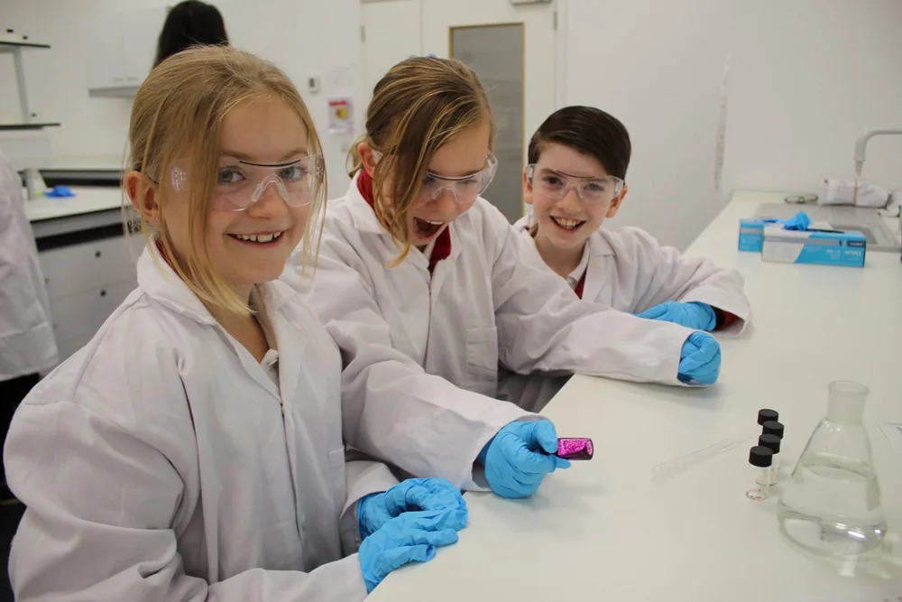 British Science Week Gives Young People A ‘Sneak Peek’ Inside Science ...
