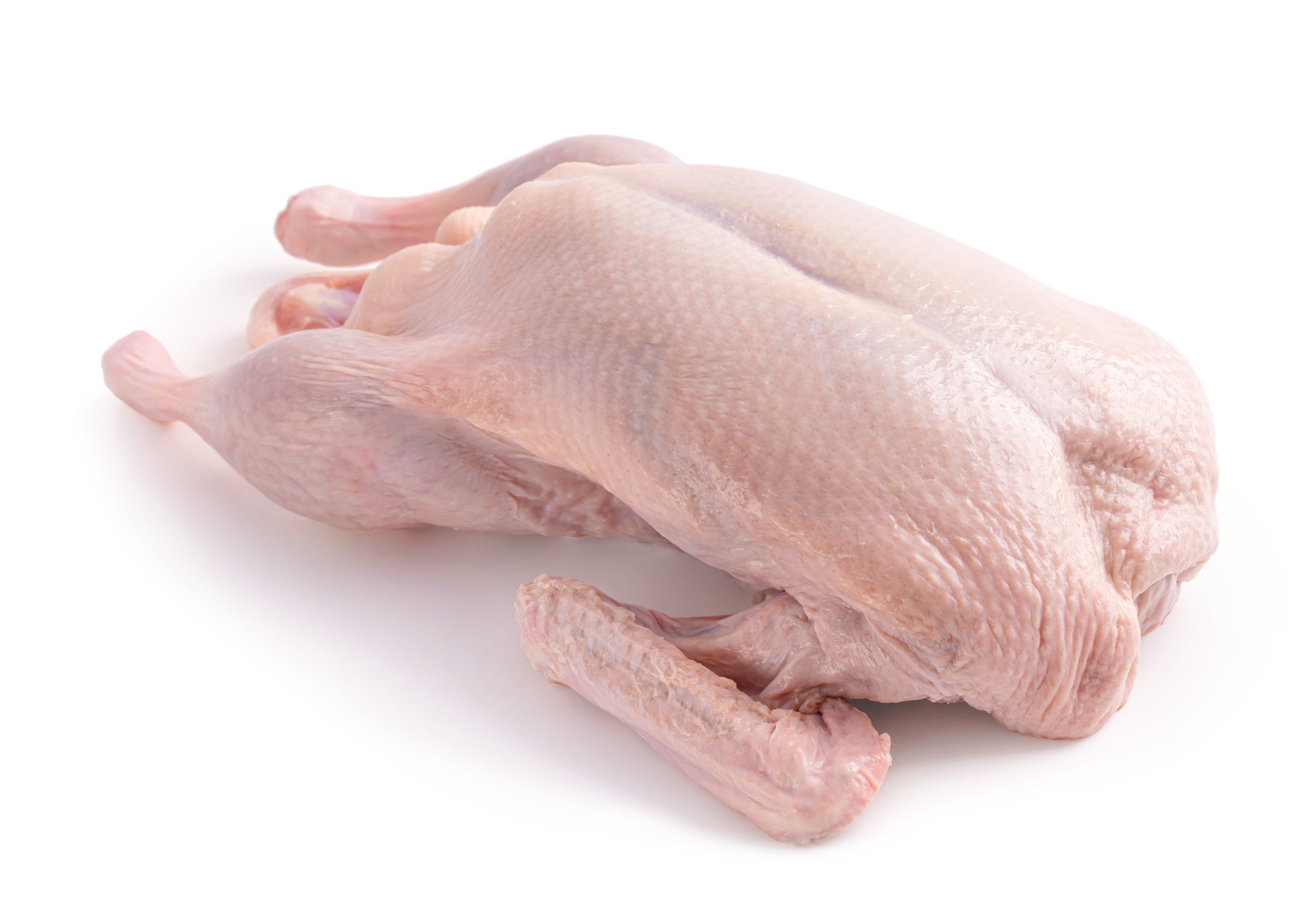 live chickens, whole-dressed chickens, baby chicks, coturnix quail ...