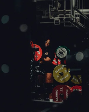 MEMBERSHIPS — IRON VAULT