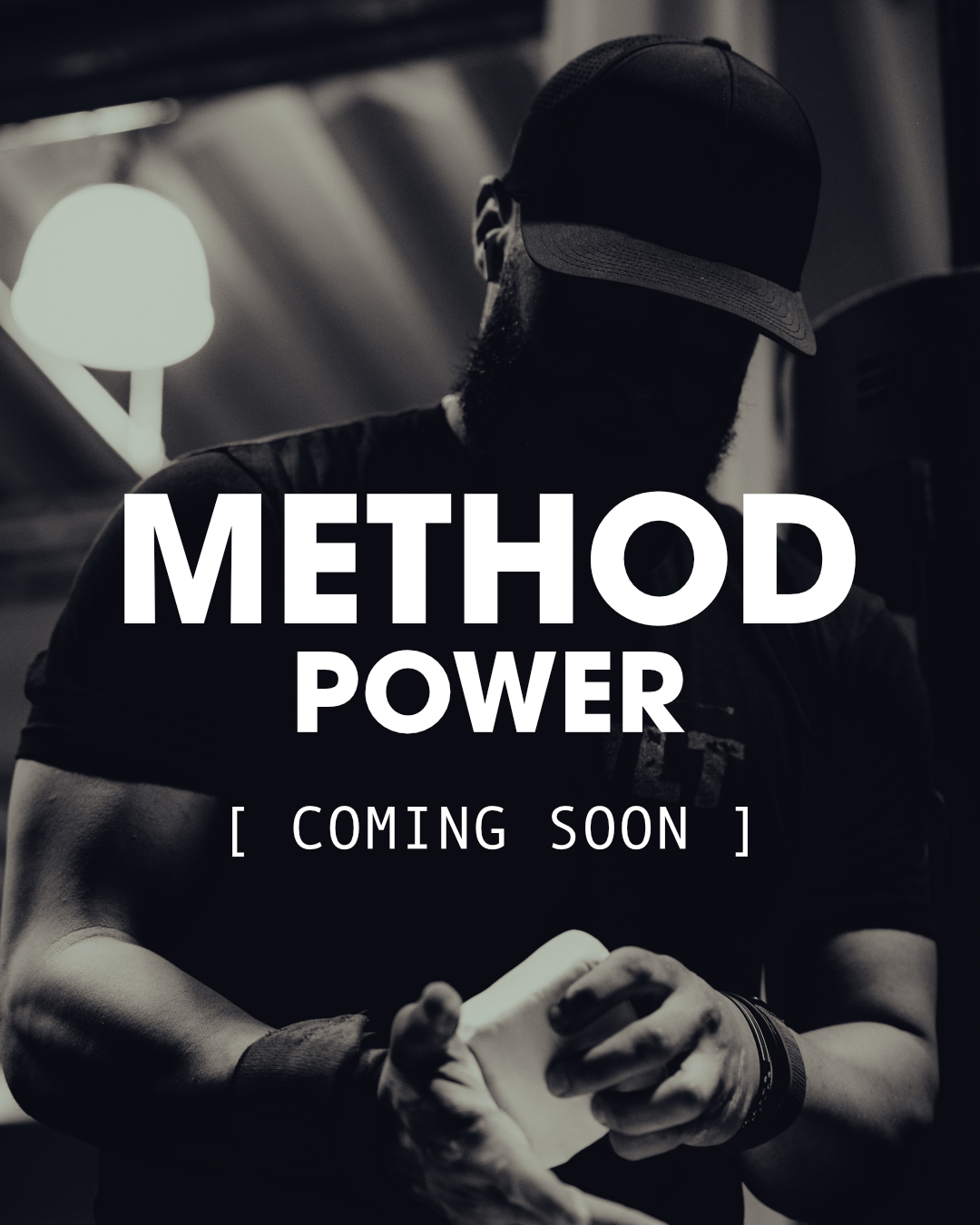 METHOD — IRON VAULT