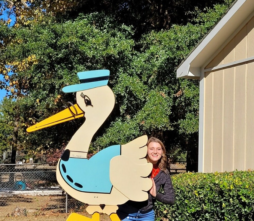 How It Works — Stork News