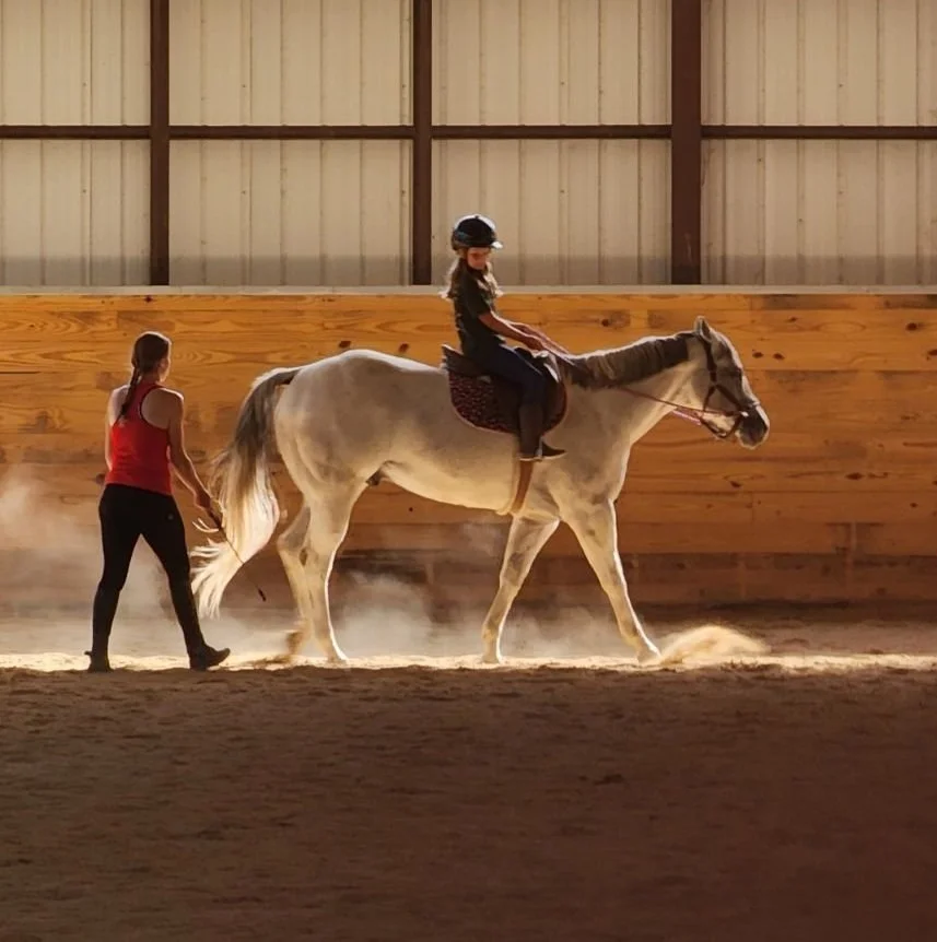 Riding Lessons — The Barn for Equine Learning