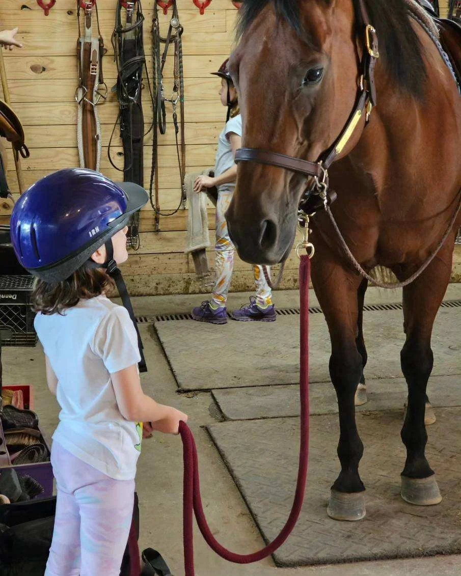 Riding Lessons — The Barn for Equine Learning