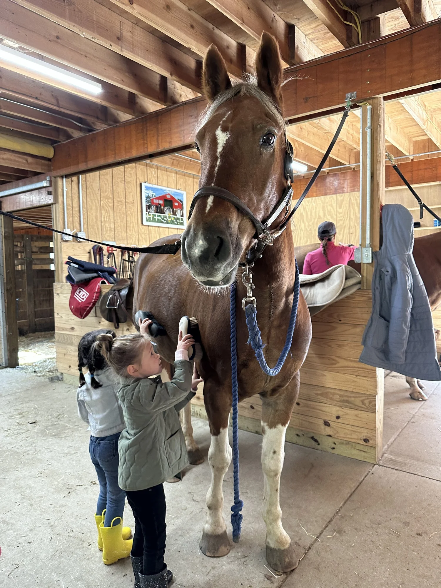 Our Story — The Barn for Equine Learning