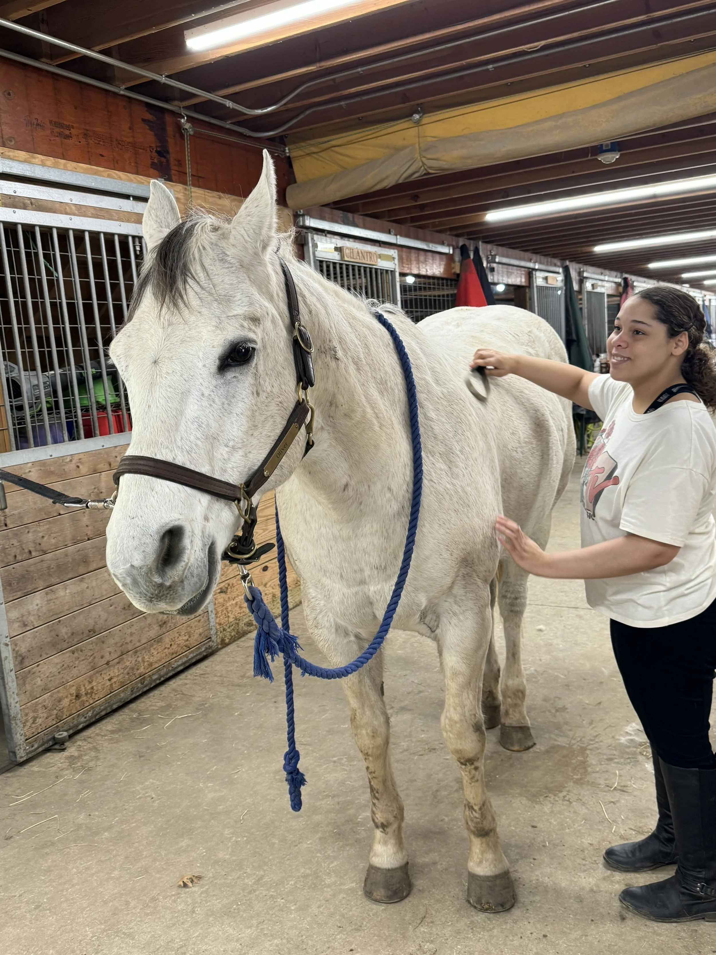 About — The Barn for Equine Learning