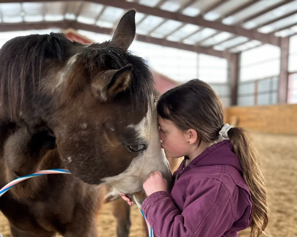 Events — The Barn for Equine Learning