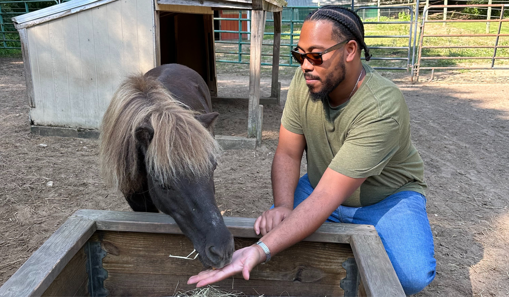 Programs — The Barn for Equine Learning