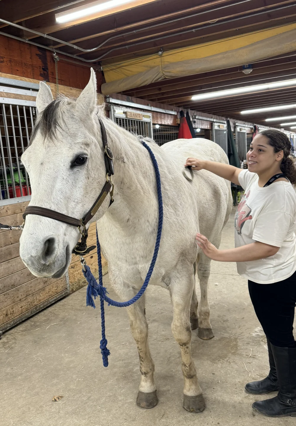 Programs — The Barn for Equine Learning