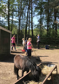 Volunteer — The Barn for Equine Learning