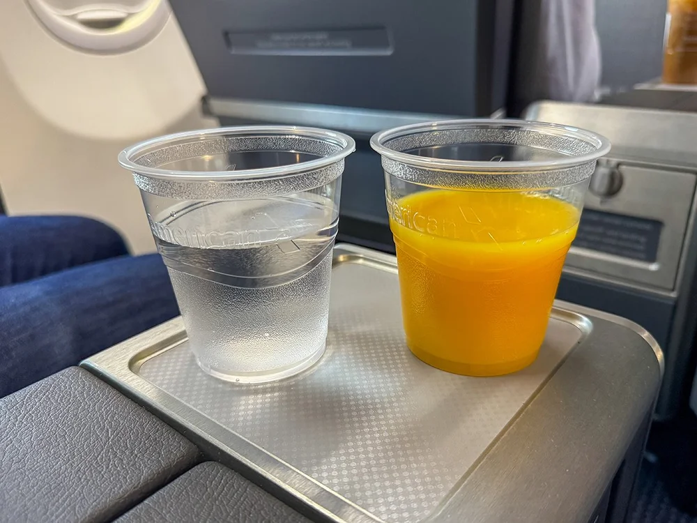 Flying First Class on American: 737 MAX 8 Review — The Pointy Miles