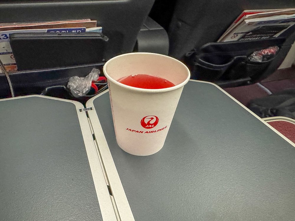 Flying Japan Airlines A350-900 Class J: Is It Worth It? — The Pointy Miles