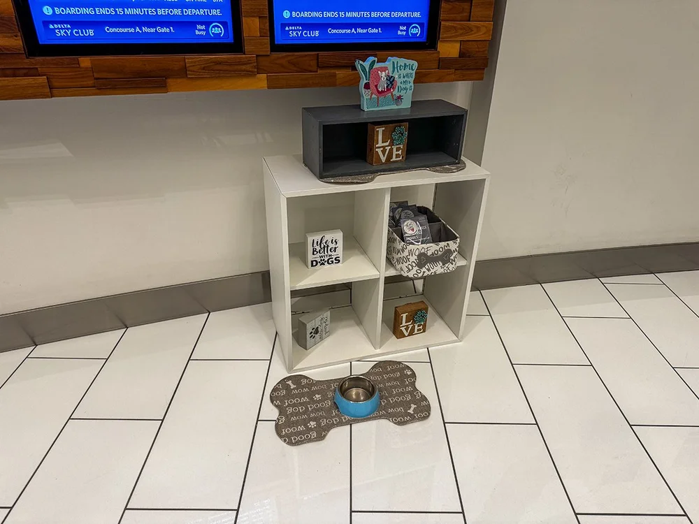 Delta Sky Club SeaTac: A Comprehensive Guide for Travelers — The Pointy ...