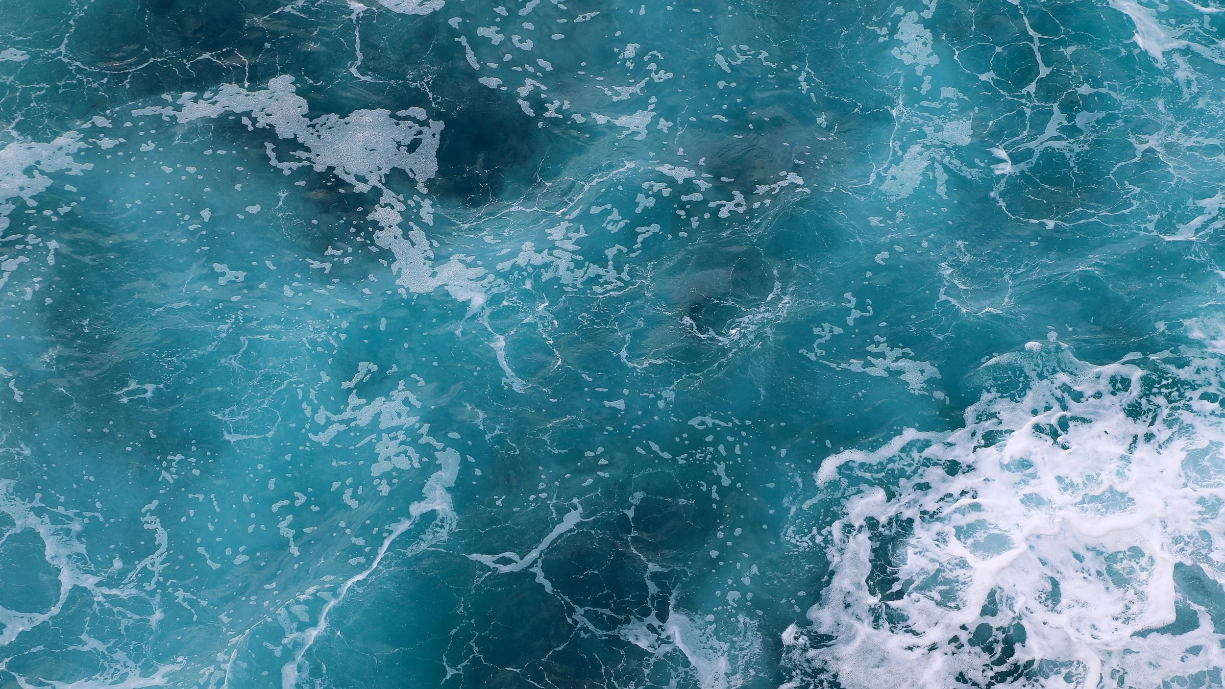 Services We Offer — Azure Web Design