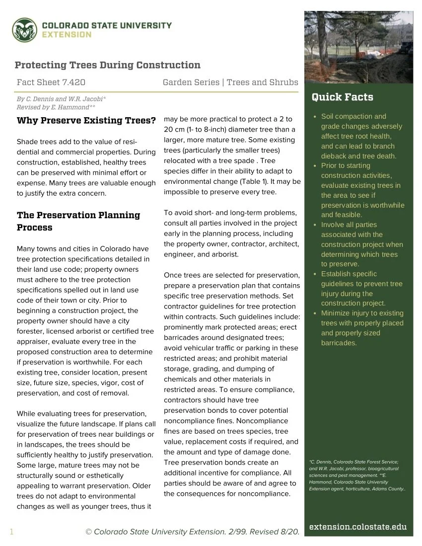 Protect Trees During Construction Johnny Apple Tree Care