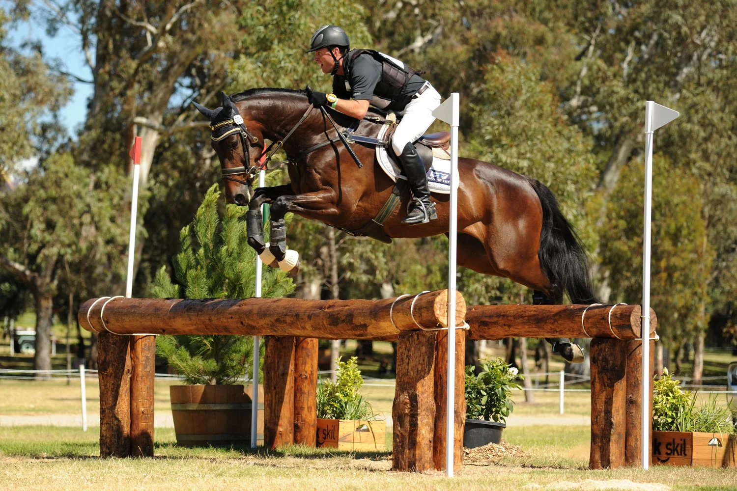 Australian Event Horse Centre — Limitless Lodge