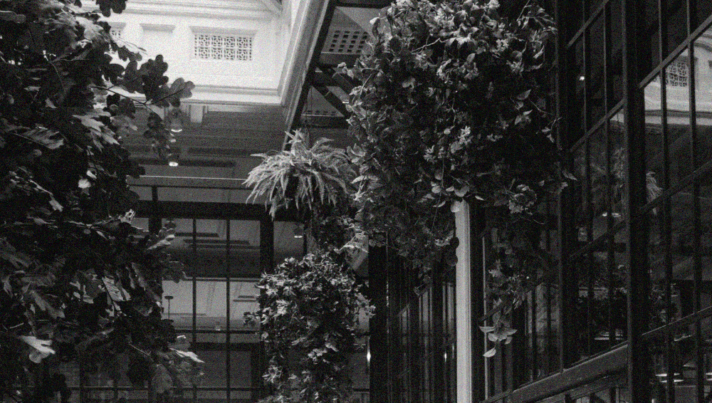 Jardin | Retail & Events Space | Samford, QLD