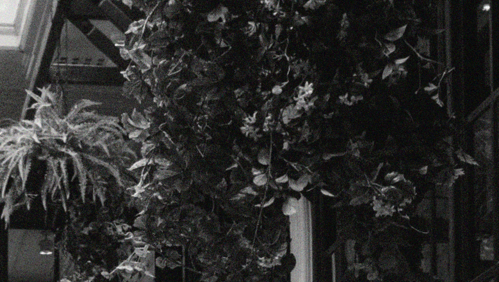 Jardin | Boutique Wedding, Elopements & Events Venue
