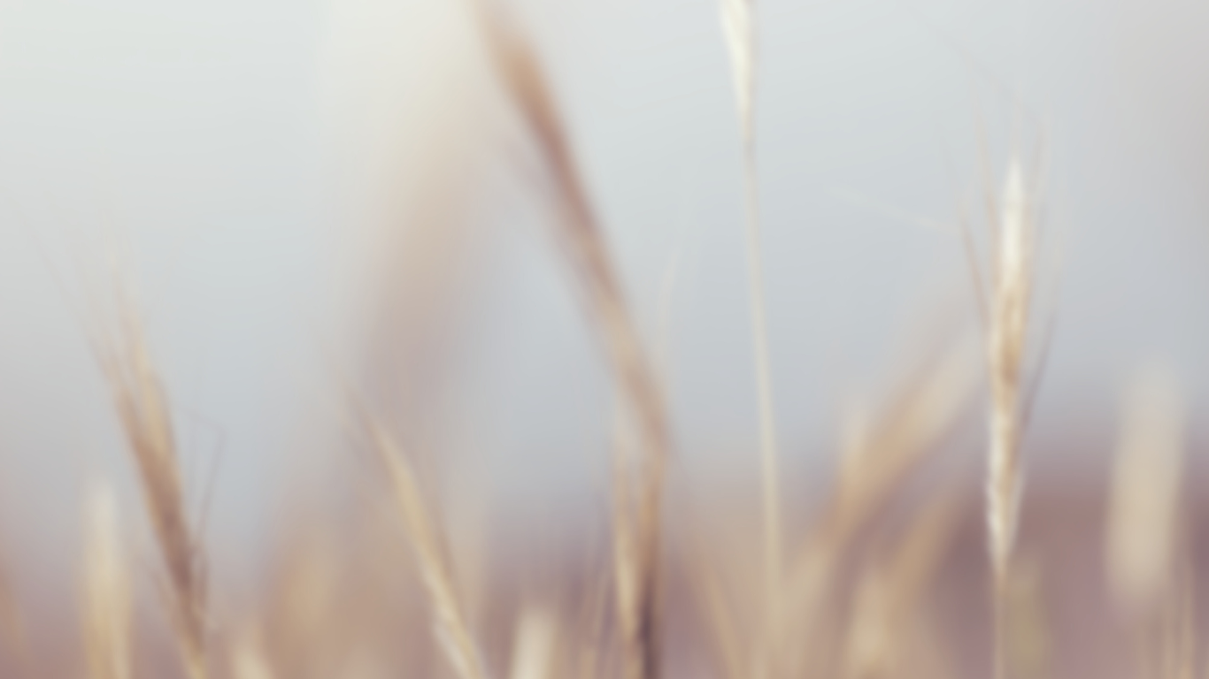 Patients — GRACE Breast Imaging & Medical Spa