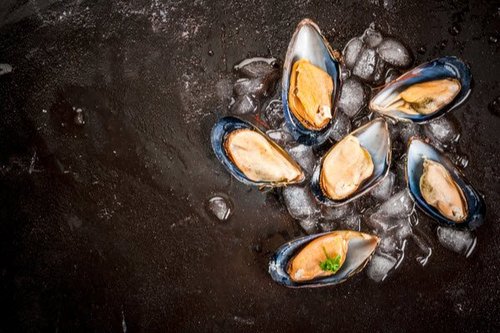 Ten surprising mussel facts | EP Seafoods