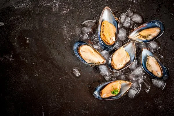 Ten surprising mussel facts | EP Seafoods